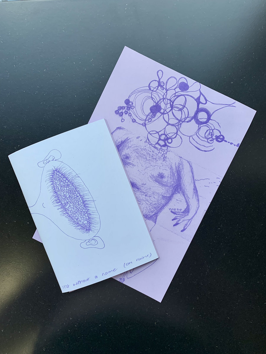 Zine with Transcriptions and one of two Posters including Download Code ...