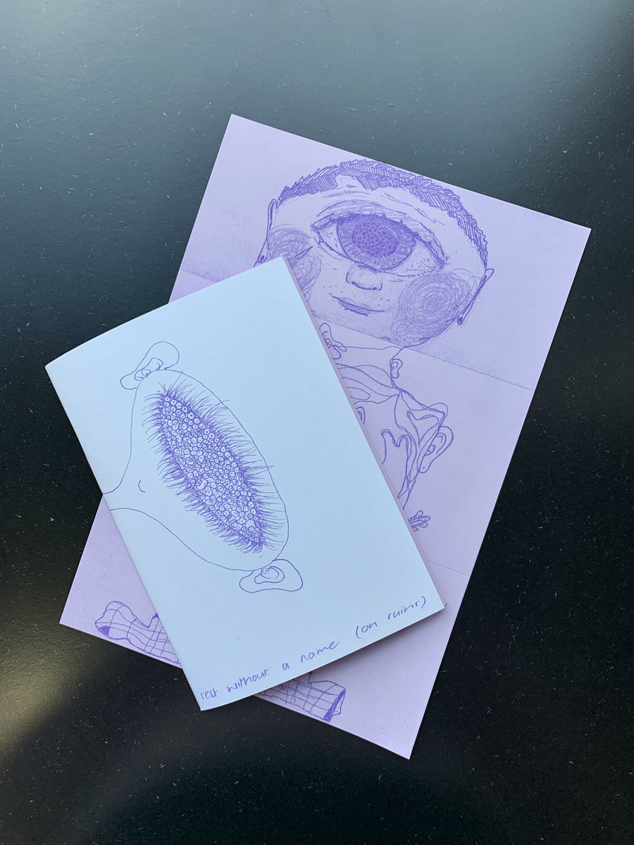 Zine with Transcriptions and one of two Posters including Download Code ...