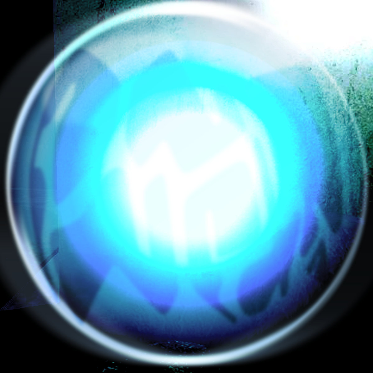 DENDROGASTER | ANNEXR