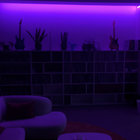 COW / Chill Out World! | The Orb