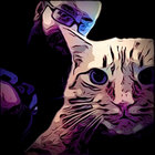 PREDATORY LIGHT // VORDE SPLIT LP | Predatory Light