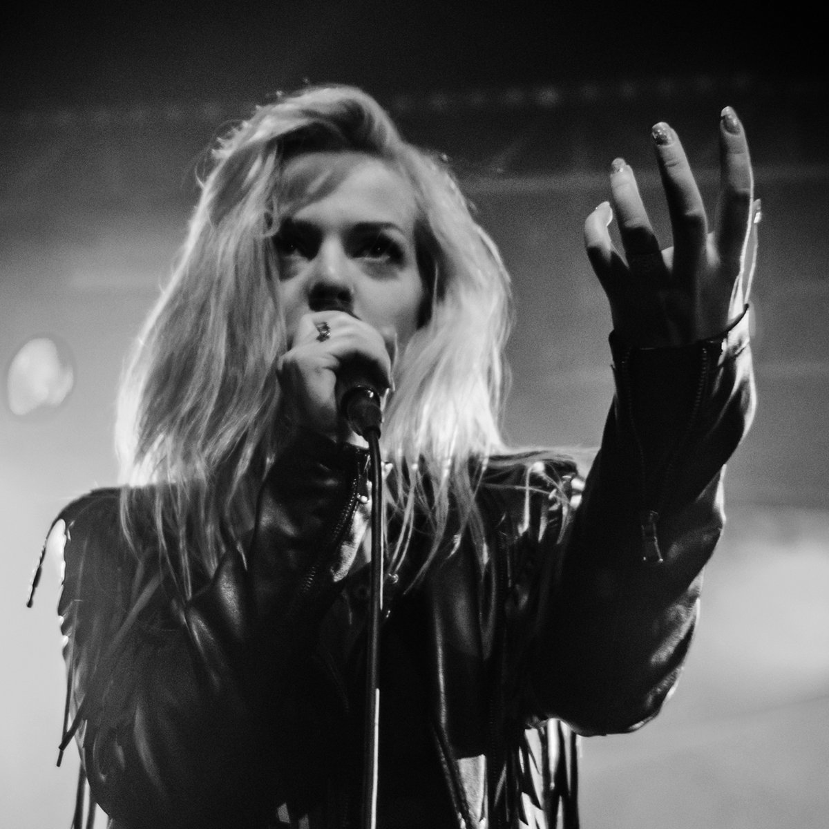 Precious Bones | Kroh