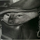 Lesser Man (extended version) | Boy Harsher