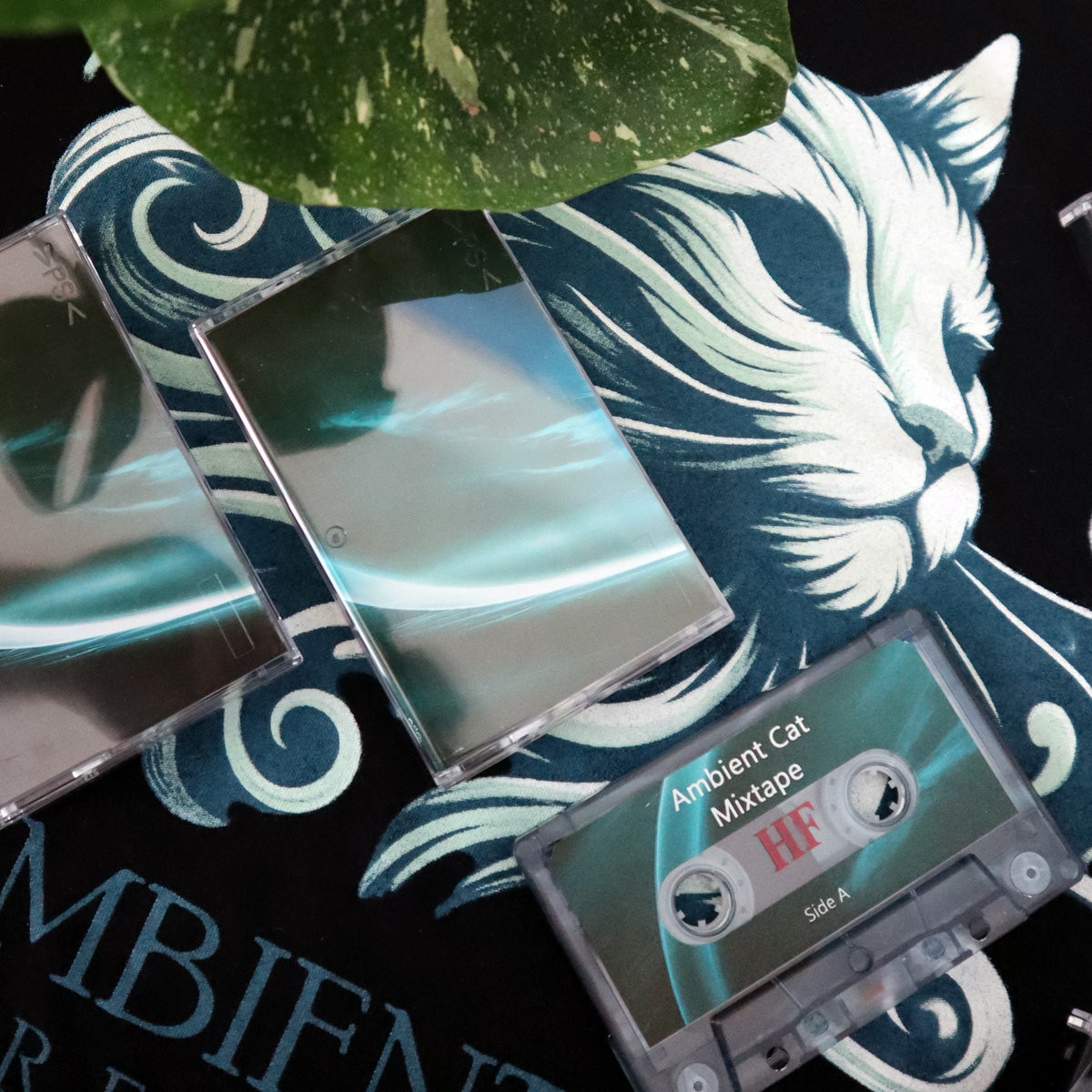 Ambient Cat Mixtape | Various Artists | Ambient Cat