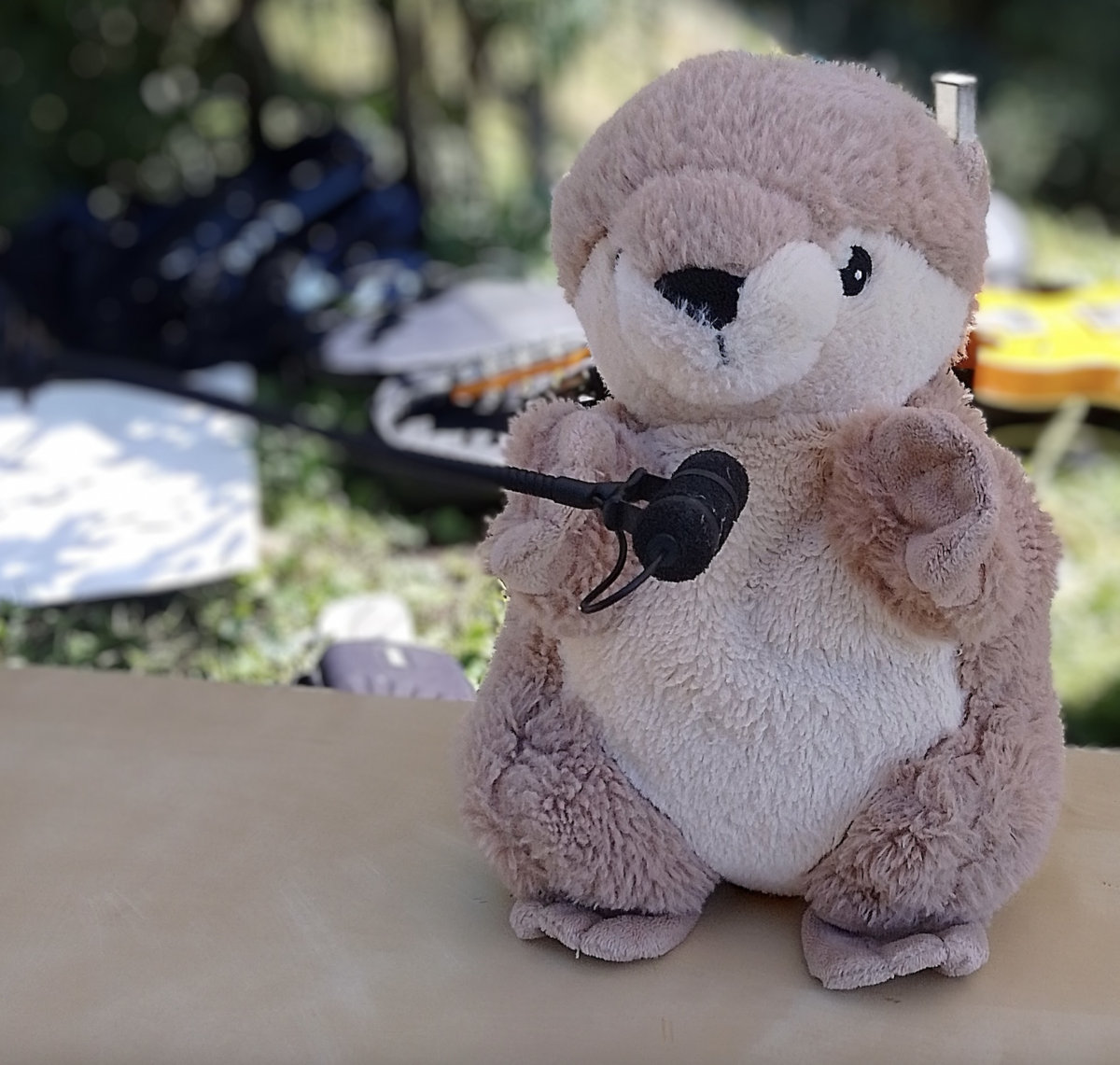 Cultive ton jardin | RoestiGarten