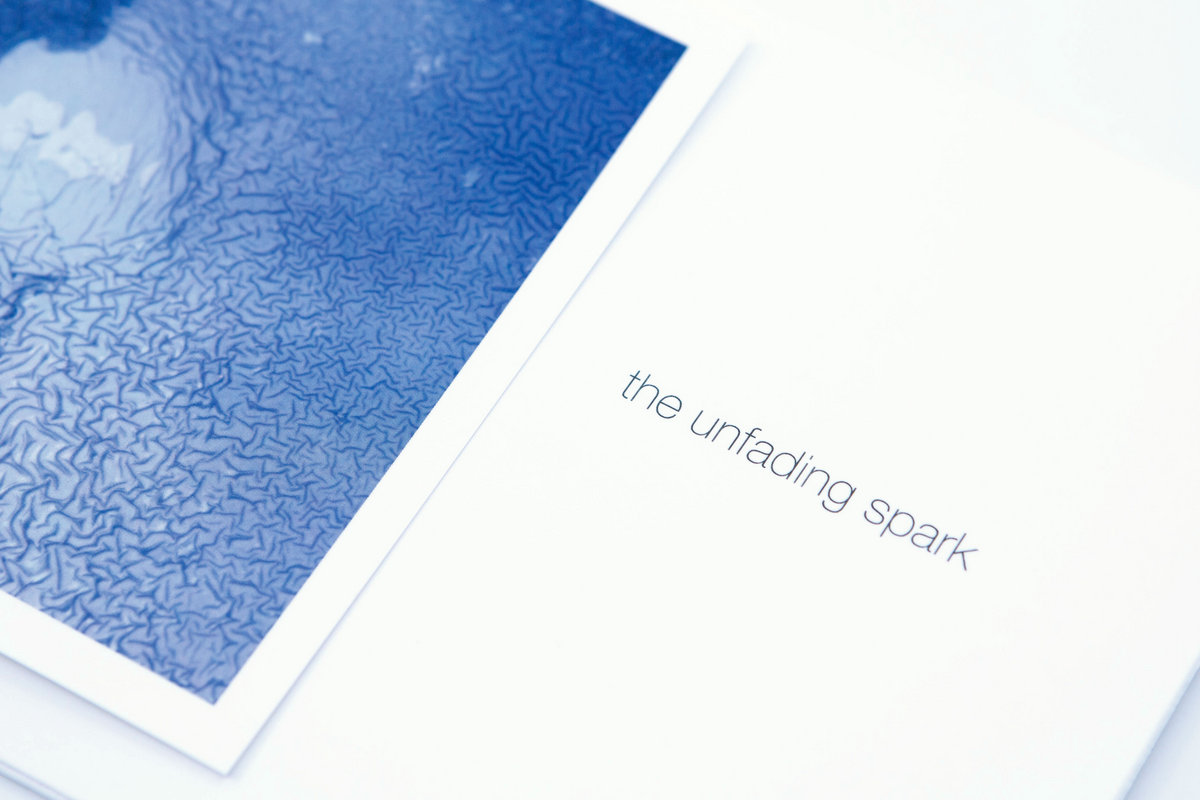The Unfading Spark | Plant43 | quiet details