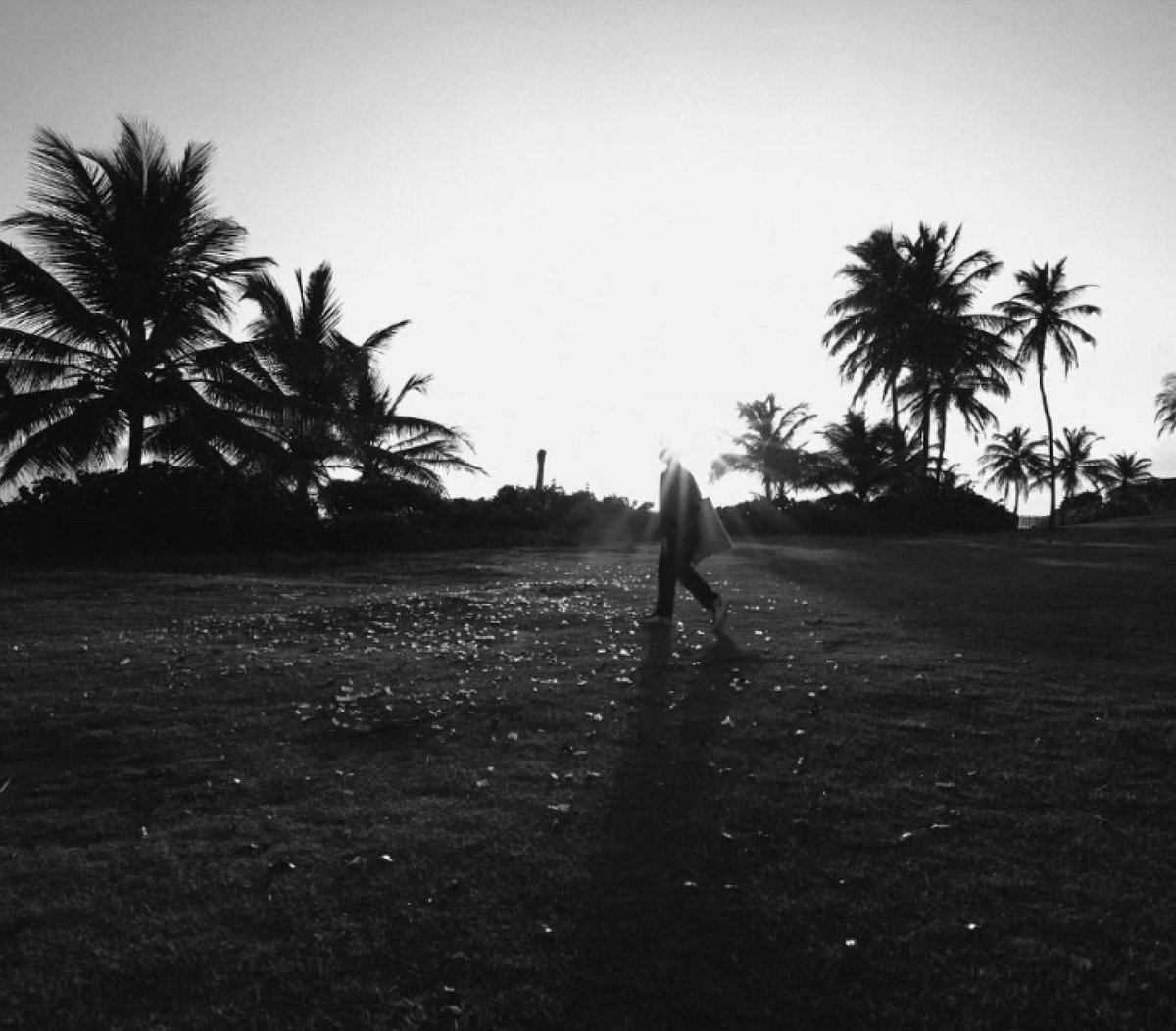 Devastador (Album) | Saúl Robles | @saulroblessoy