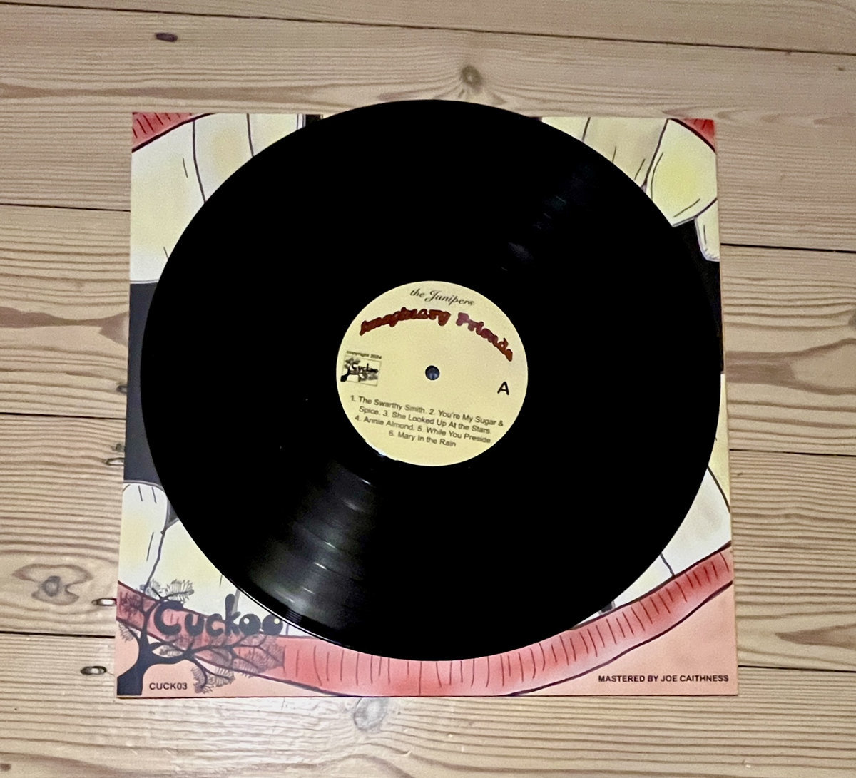 Imaginary Friends (Album 2024) | The Junipers