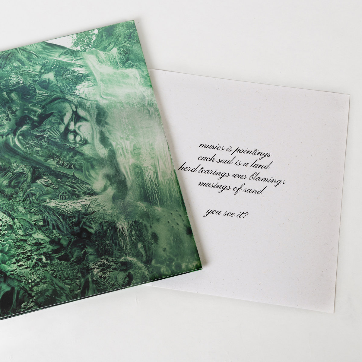 Mossed Capable Of Being Observant | Angel R | enmossed