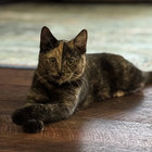 Night Drive | Timecop1983