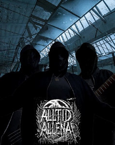 Music | Alltid Allena