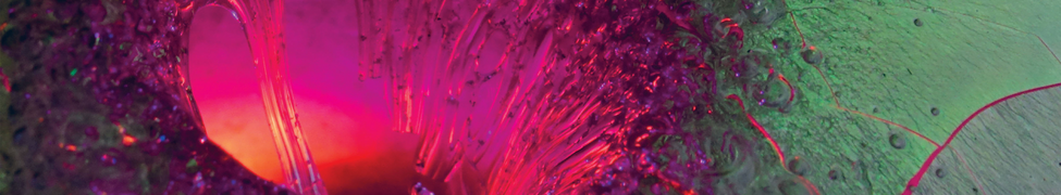 SsSsSsSsSsSsSs | SHXCXCHCXSH