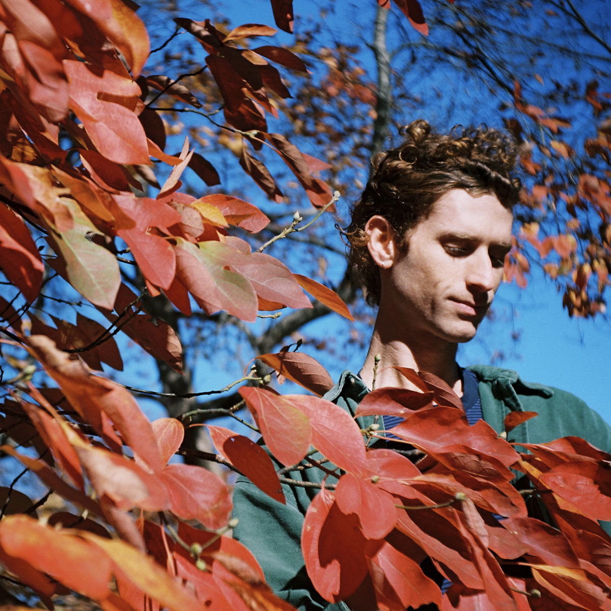 Merch | Daniel Stern