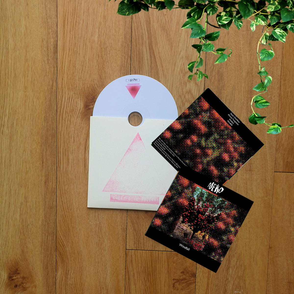 Windfall | Neko | Shore Dive Records