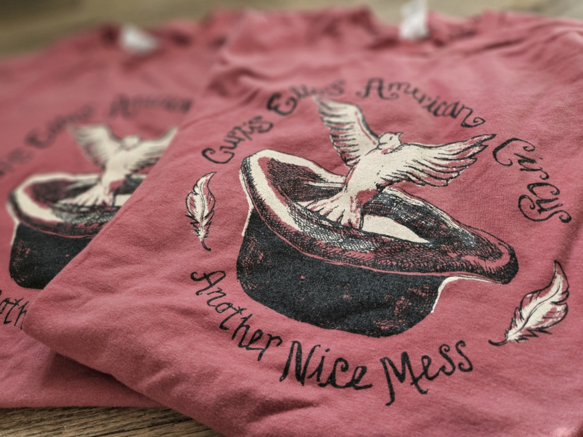 Another Nice Mess T-shirt | Curtis Eller