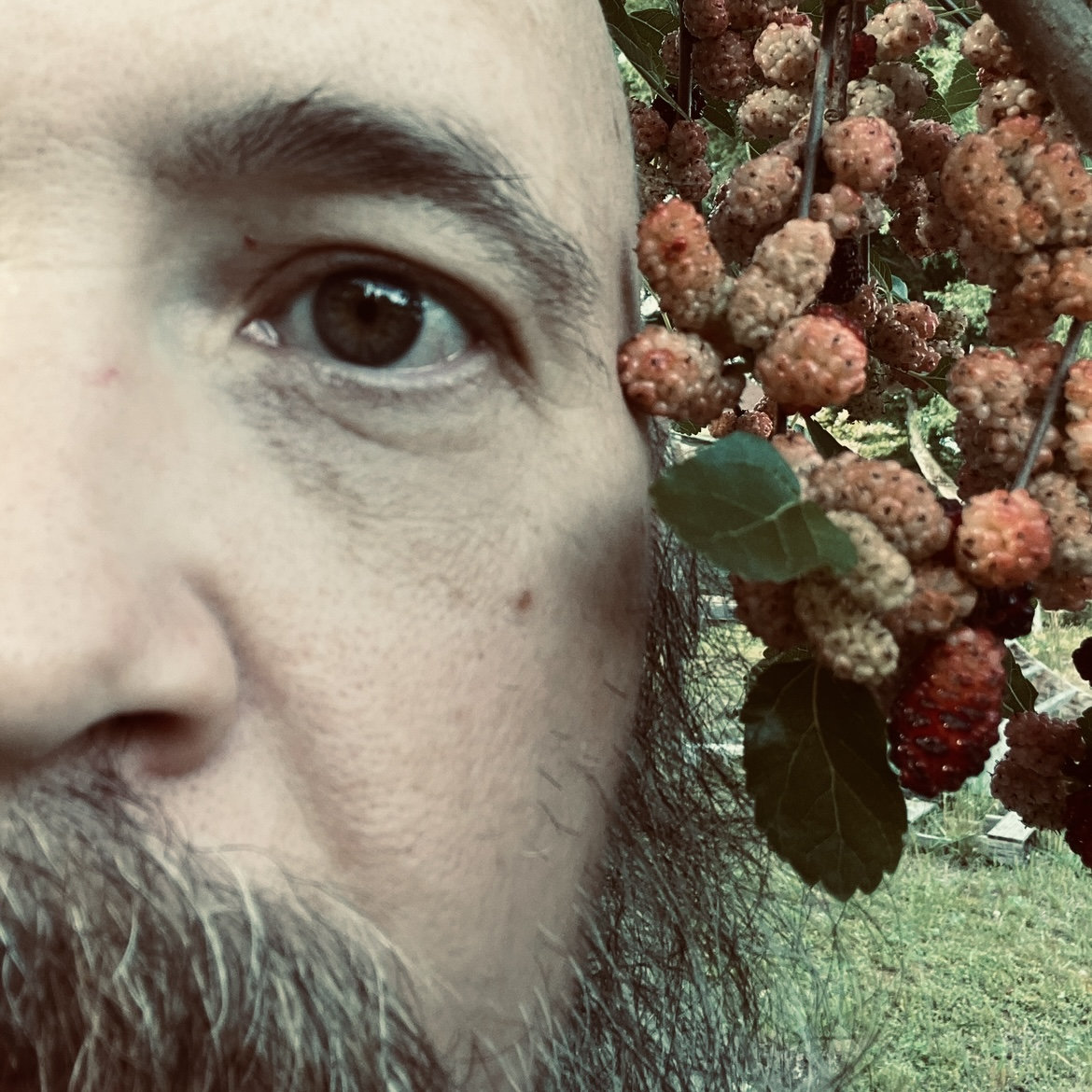 Midnight | Nathan James Hall