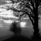 Necroinsanity | Kristailer