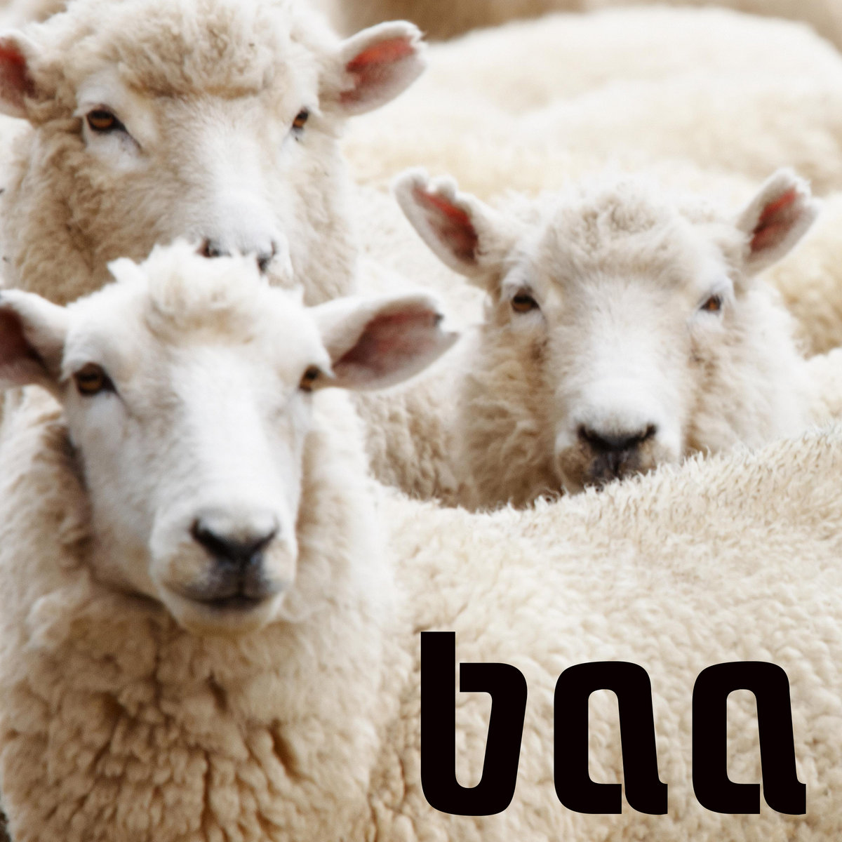 Fully Focused EP | Baa