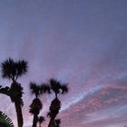 Fearsick | Inhuman Condition