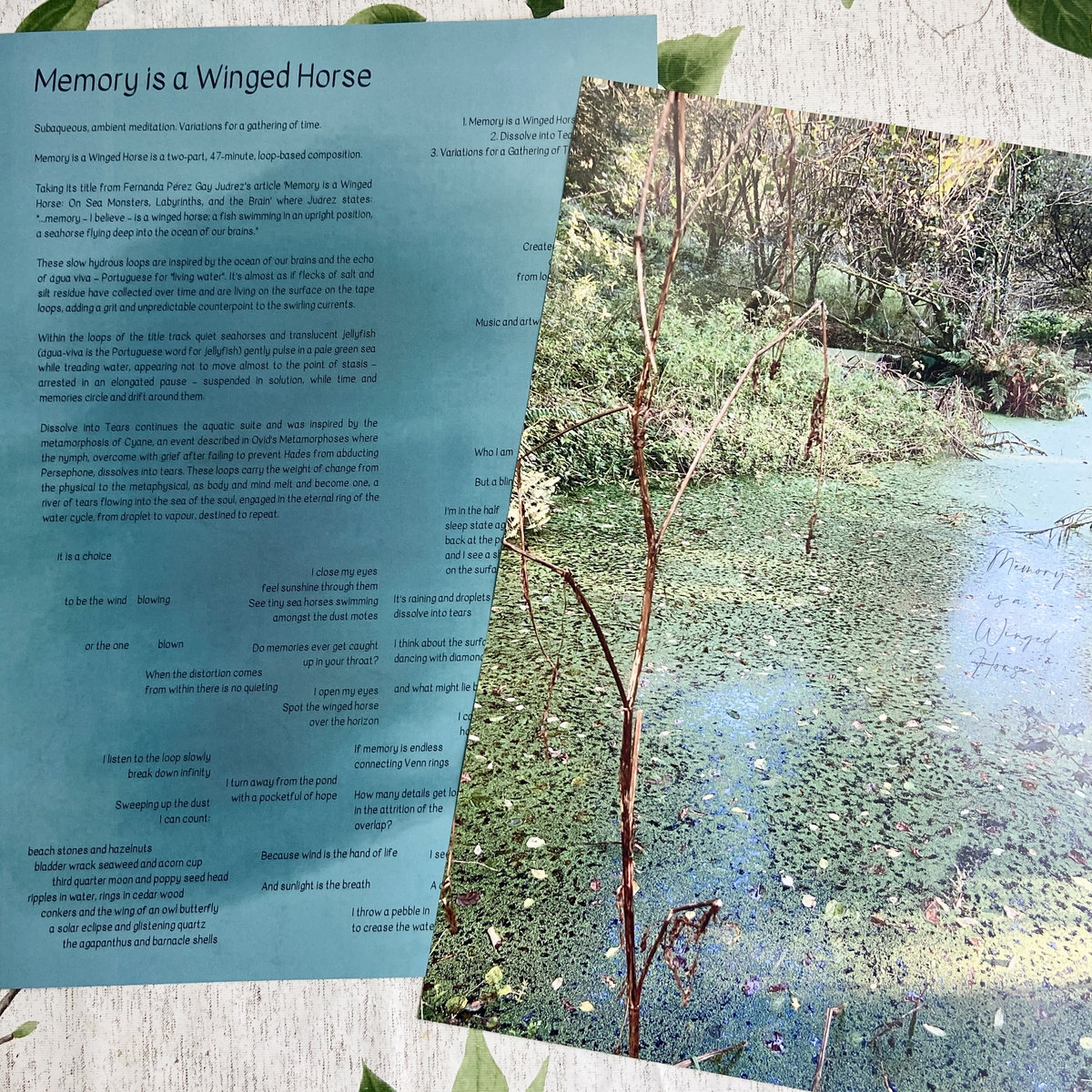 Memory is a Winged Horse | Ryan Hooper | Heavy Cloud