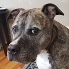 Divinations | Oracle Sisters