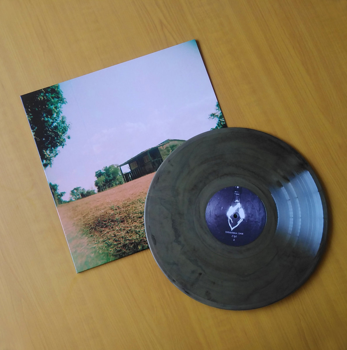 Surge Evelia, Surge | Parahelio | Necio Records