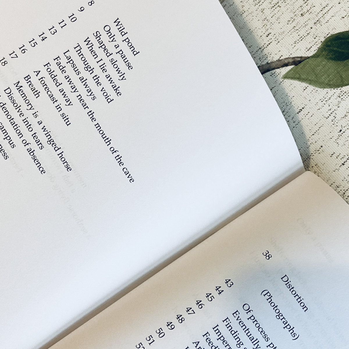 Memory is a Winged Horse | Ryan Hooper | Heavy Cloud