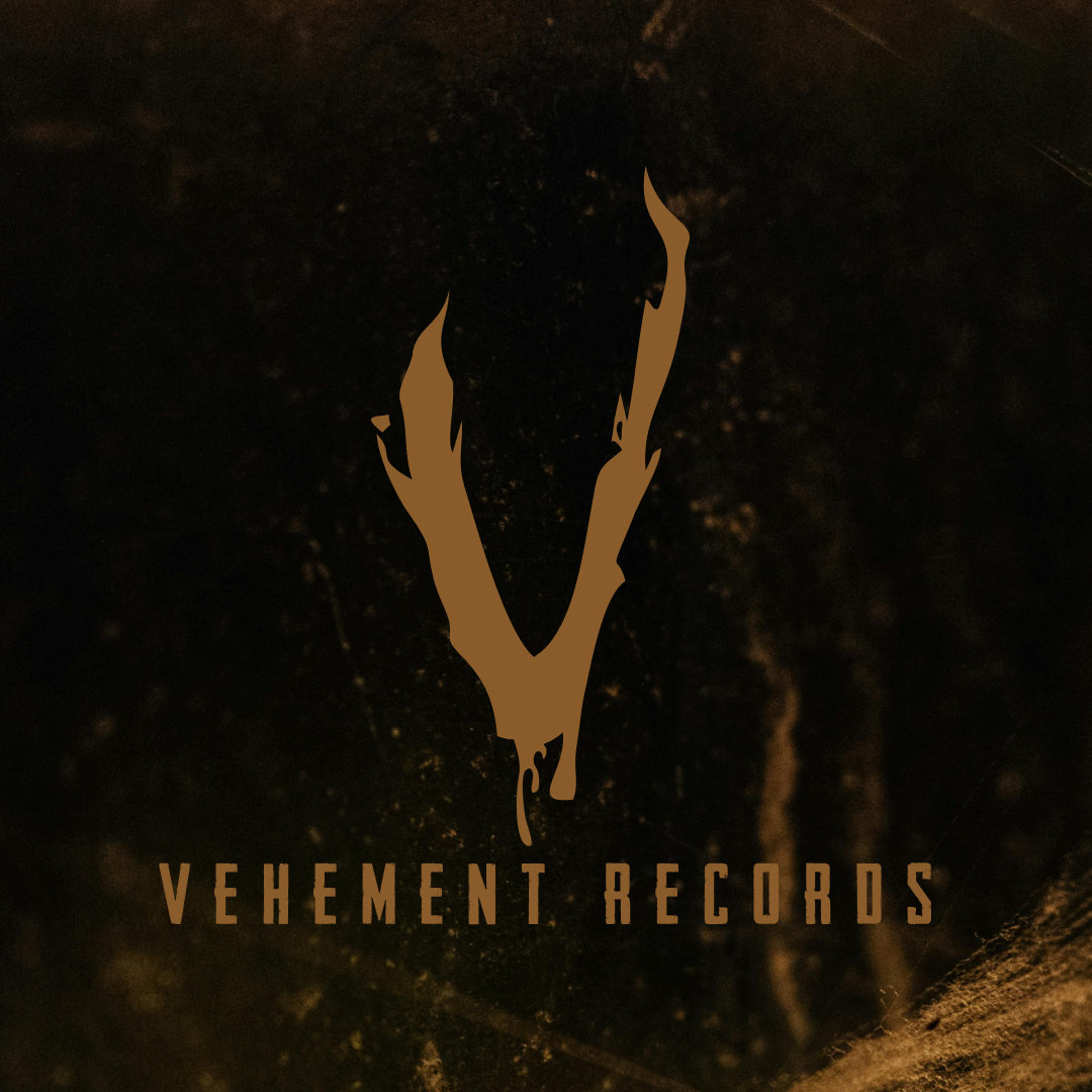 Dasatwa | VOID TURNED TO MESSAGE | Vehement Records
