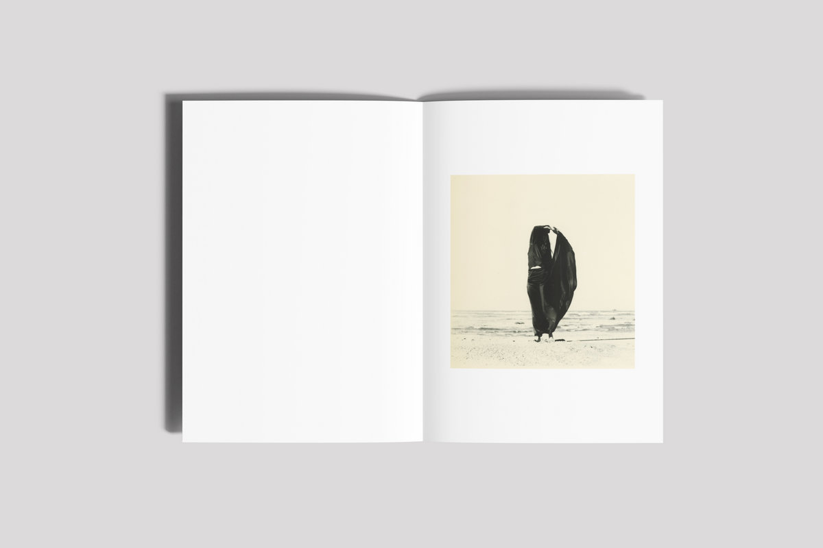 Fine Art Book - 500 Limited Edition / Hand-Numbered, Hand-Stamped ...