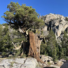 Only Dust Remains | Backxwash