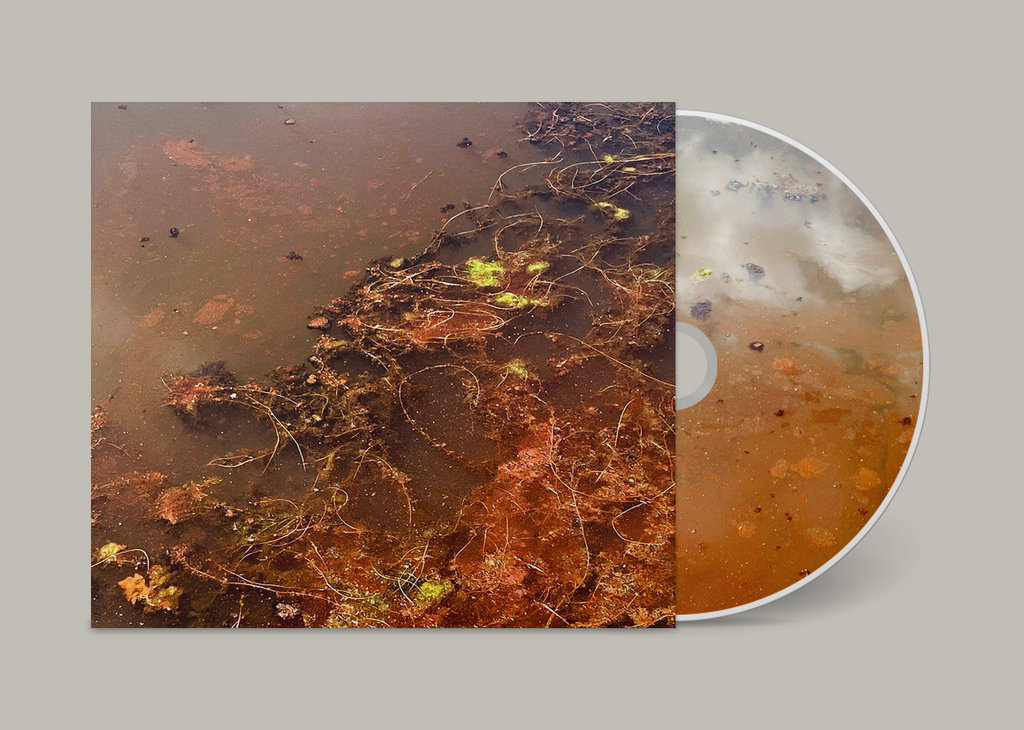 The Best Field Recordings on Bandcamp, January 2025 | Bandcamp Daily