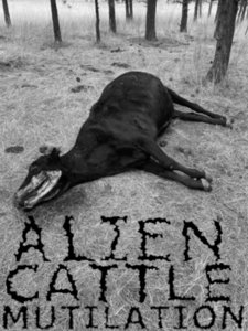 Music | alien cattle mutilation