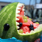 Personal Protocol | 8485