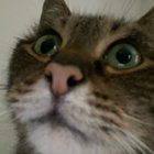 The Fall Of Math (deluxe edition) | 65daysofstatic | Bird's Robe Records