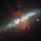 Terrifyer (20th Anniversary Remaster) | Pig Destroyer