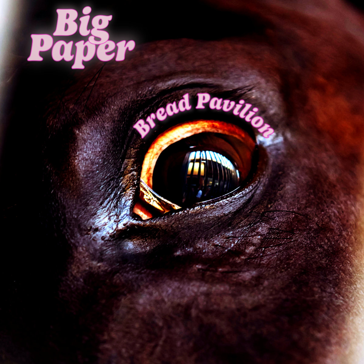 Bread Pavilion | Big Paper