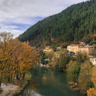 Ecstatic Arrow | Virginia Wing