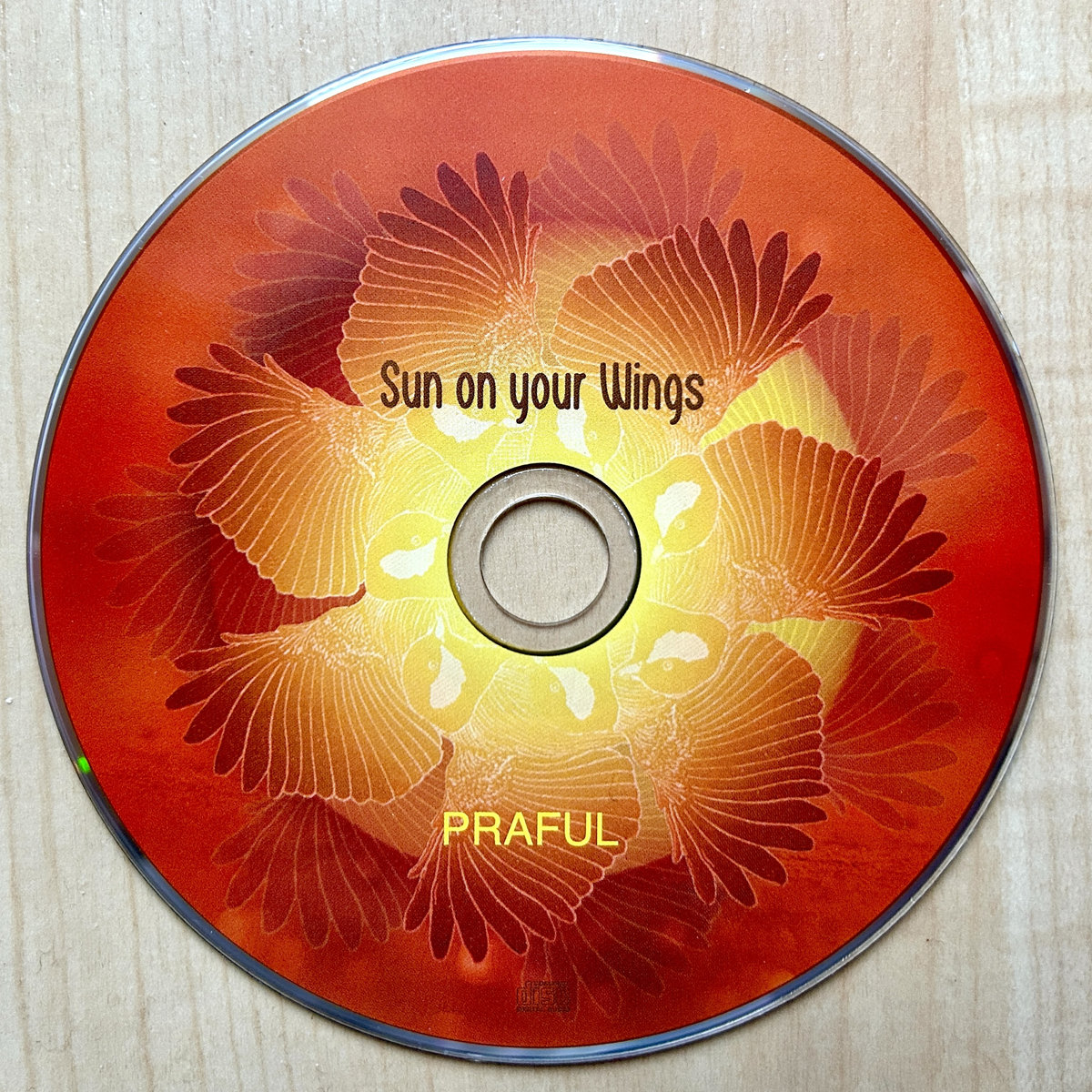 Sun on your Wings | Praful