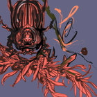 HYPERFLIP OVERTURE | Various Artists | Lost Frog Productions