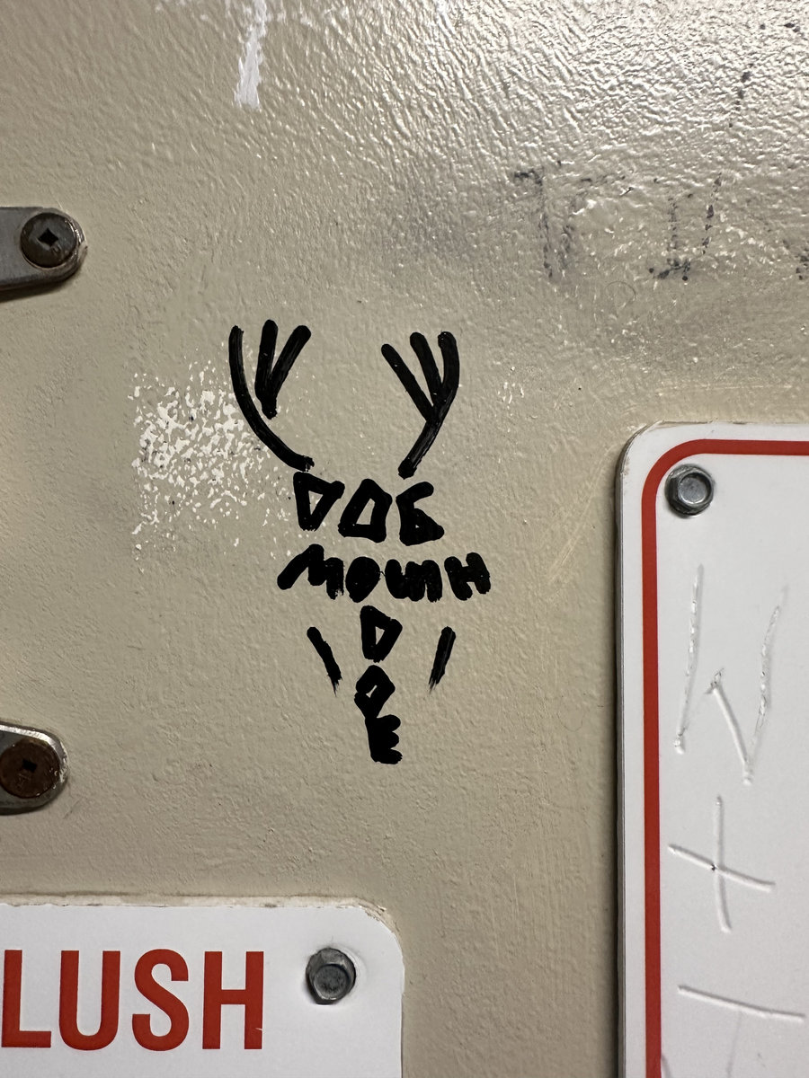 Songs I Found When I Cleaned My Room | Dog Mouth Doe