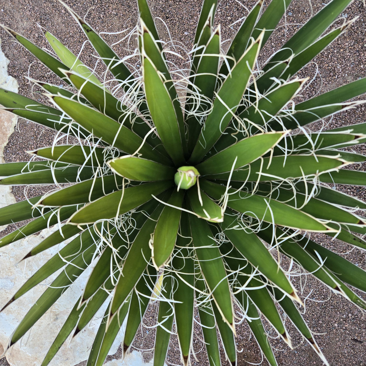 Improvisations | projekt_119