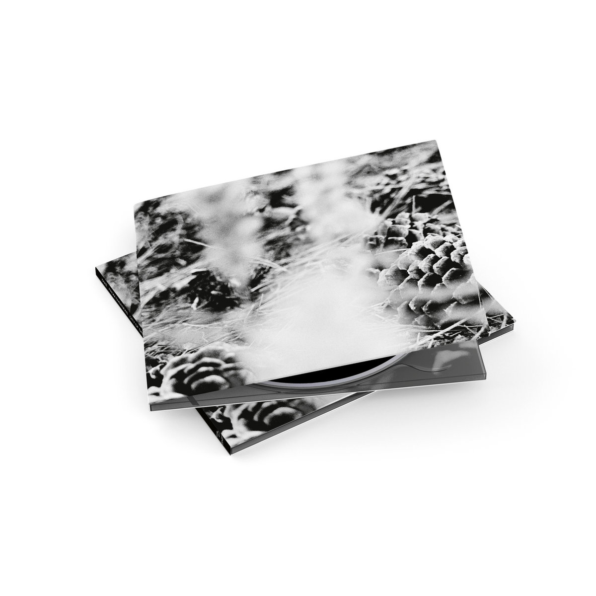 Certain Path - 4-Panel Digipak CD by zakè, From Overseas, City of Dawn ...