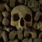 The Book of Jonah | David Benjamin Blower