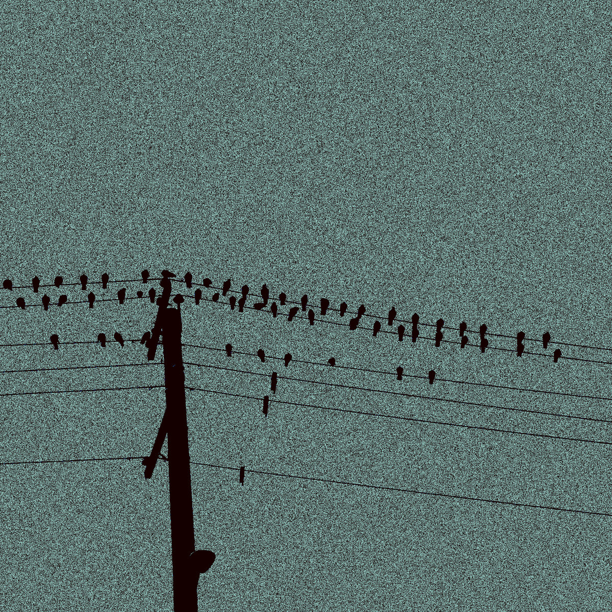 archival footage II | archival footage