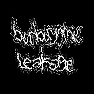Music | Borborygmic Leakage