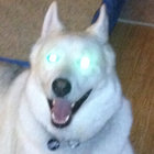 Psychopomp Original Soundtrack: Volume 1 | Karbonic