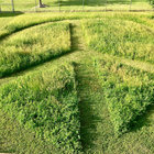 Superb | Surprise Chef