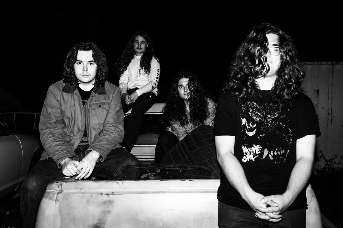Wax Wizard | Wax Wizard