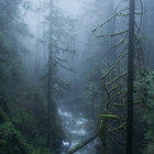 Wavering Radiant | ISIS