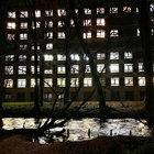 Flower Maiden | Dzivia